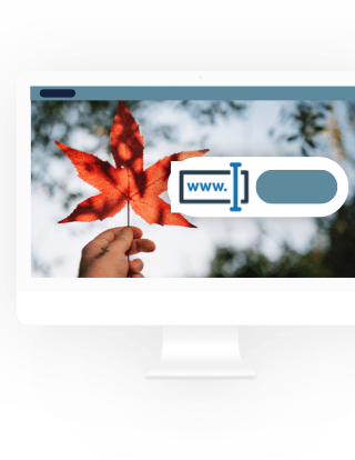 Web Hosting, Domain Name Registration | Netfirms.com